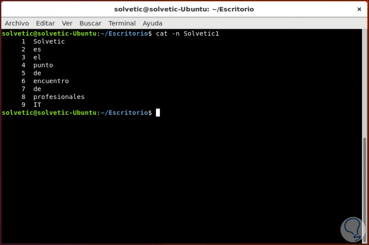 Cómo usar comando cat Linux - Solvetic