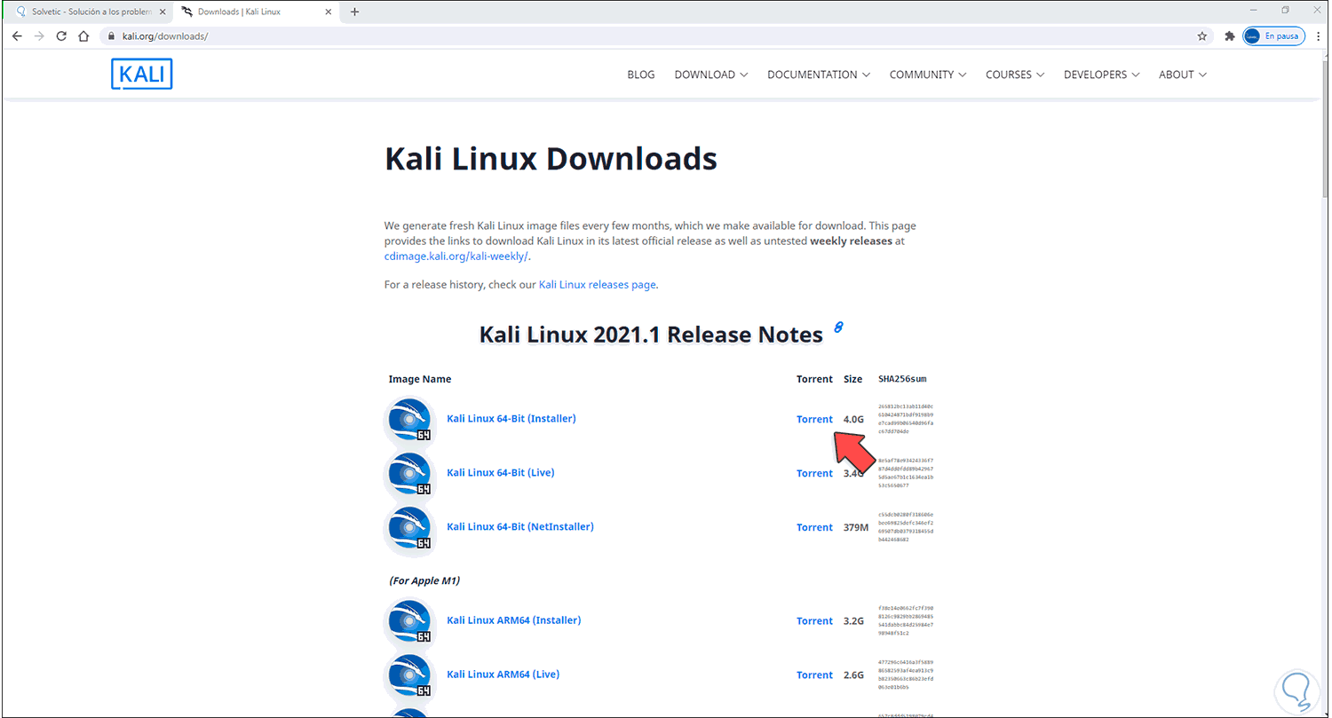 Kali linux vmware - cclaslime
