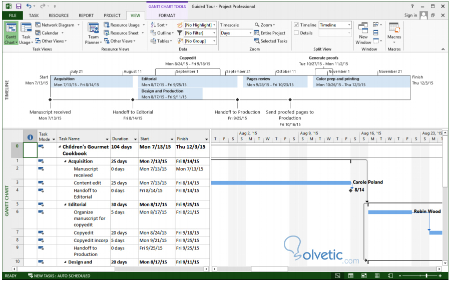 Microsoft Project 2013 - Solvetic - Página 4