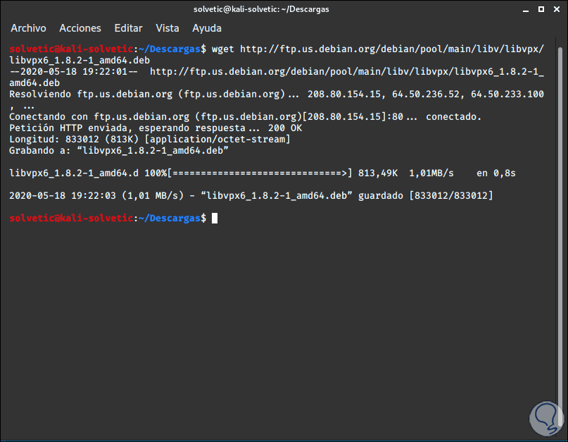 Cómo instalar VirtualBox en Kali Linux 2020 - Solvetic