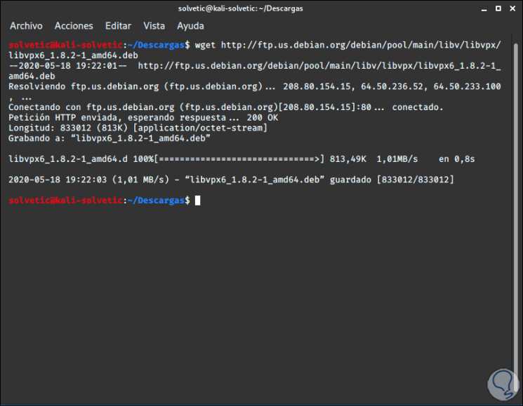 Cómo instalar VirtualBox en Kali Linux 2020 - Solvetic