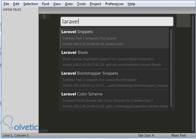 Laravel - Solvetic - Página 11