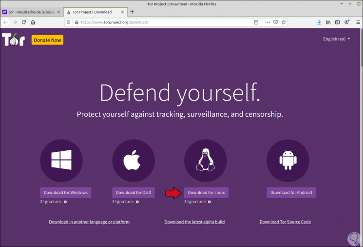 Cómo instalar Tor y Chrome en Linux Mint 20 - Solvetic