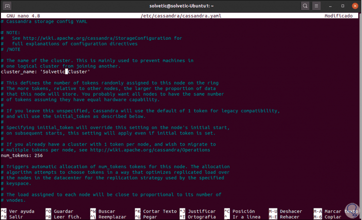 Instalar Apache Cassandra Ubuntu 20.04 - Solvetic