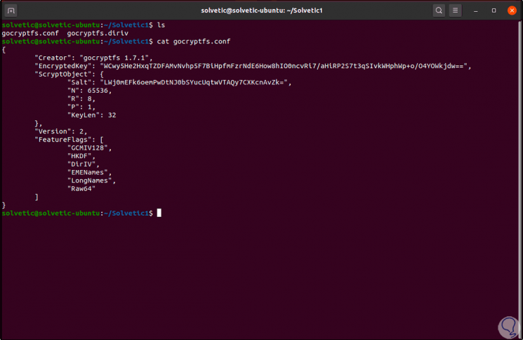 Cómo cifrar archivos con Gocryptfs en Linux | Encriptar - Solvetic
