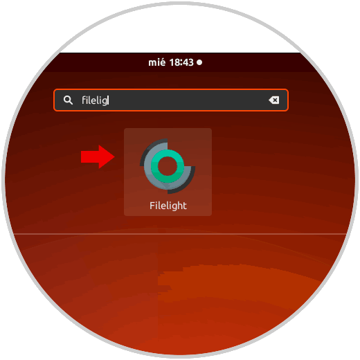 Cómo instalar Filelight en Linux - Solvetic