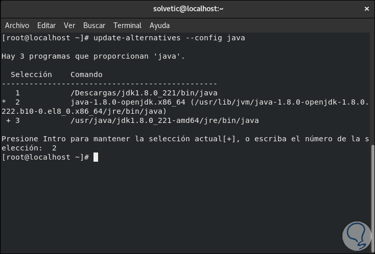 Cómo instalar Java 8 o Java 13 en CentOS 8 - Solvetic