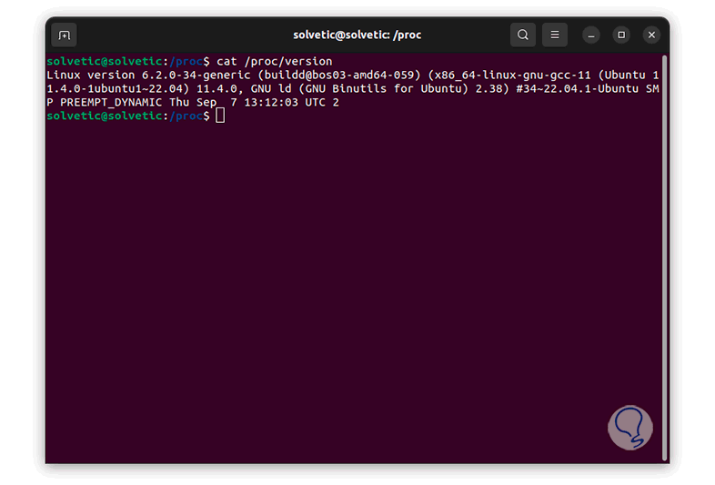 DIRECTORIO PROC LINUX - Solvetic