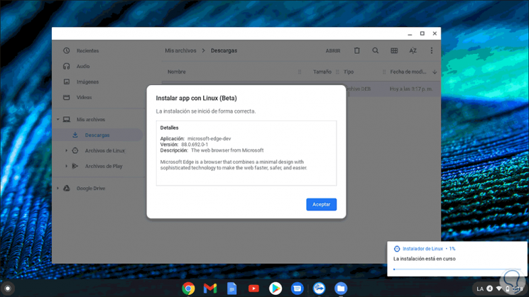 Cómo instalar Microsoft Edge en Chromebook - Solvetic