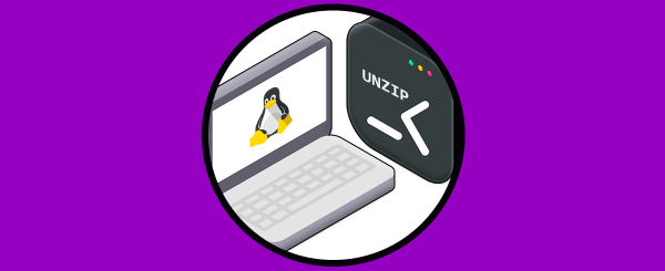 Cómo instalar Corefreq en Ubuntu Linux para monitorizar CPU - Solvetic